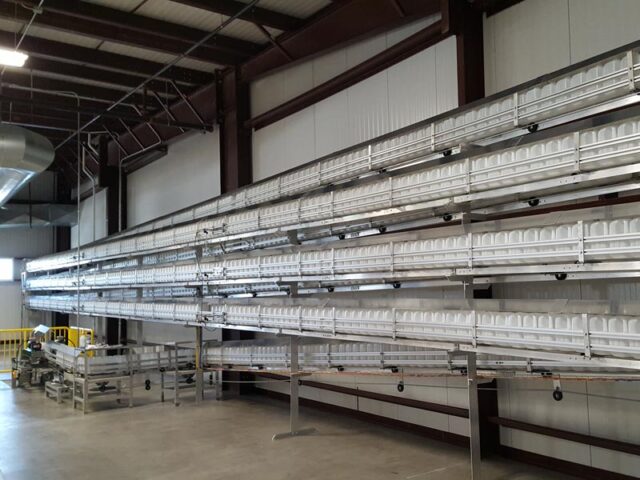 Cable Conveyor Systems | Bottle Conveyors | Conveying Equipment